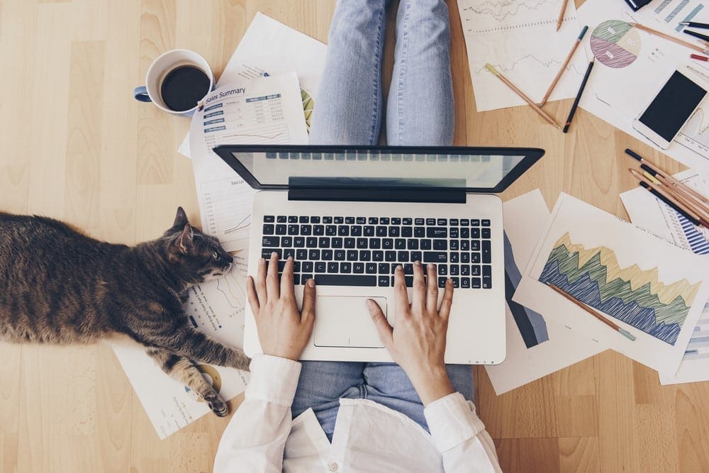 5 Things You Need to Work From Home - The News Examiner