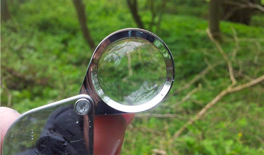 5 Different Types Of Magnifiers You Should Know News Examiner 5 Different Types Of Magnifiers You Should Know News Examiner
