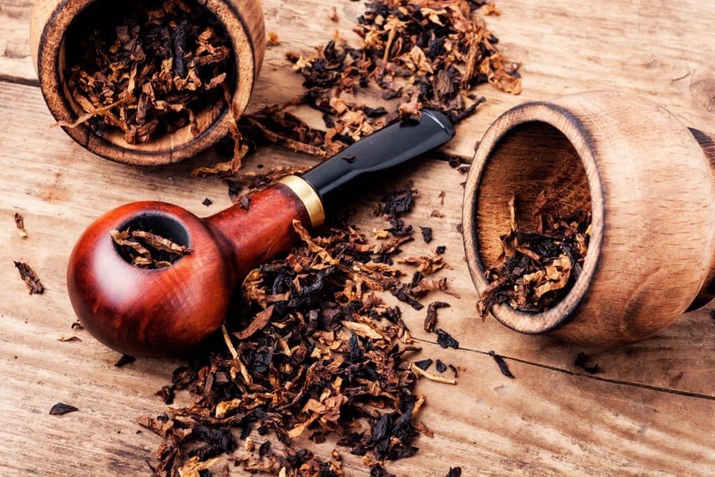 Savoring Gainesville: Cory Carnley's Entrepreneurial Fusion of Tobacco ...