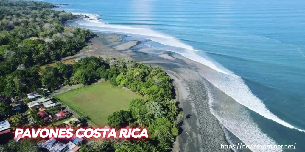 Discovering Pavones Costa Rica: A Tropical Paradise - The News Examiner
