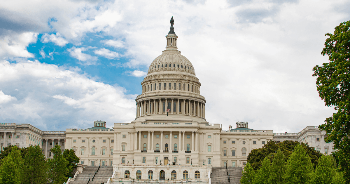 What Nick Muzin Learned From High-Stakes Political Races - The News ...
